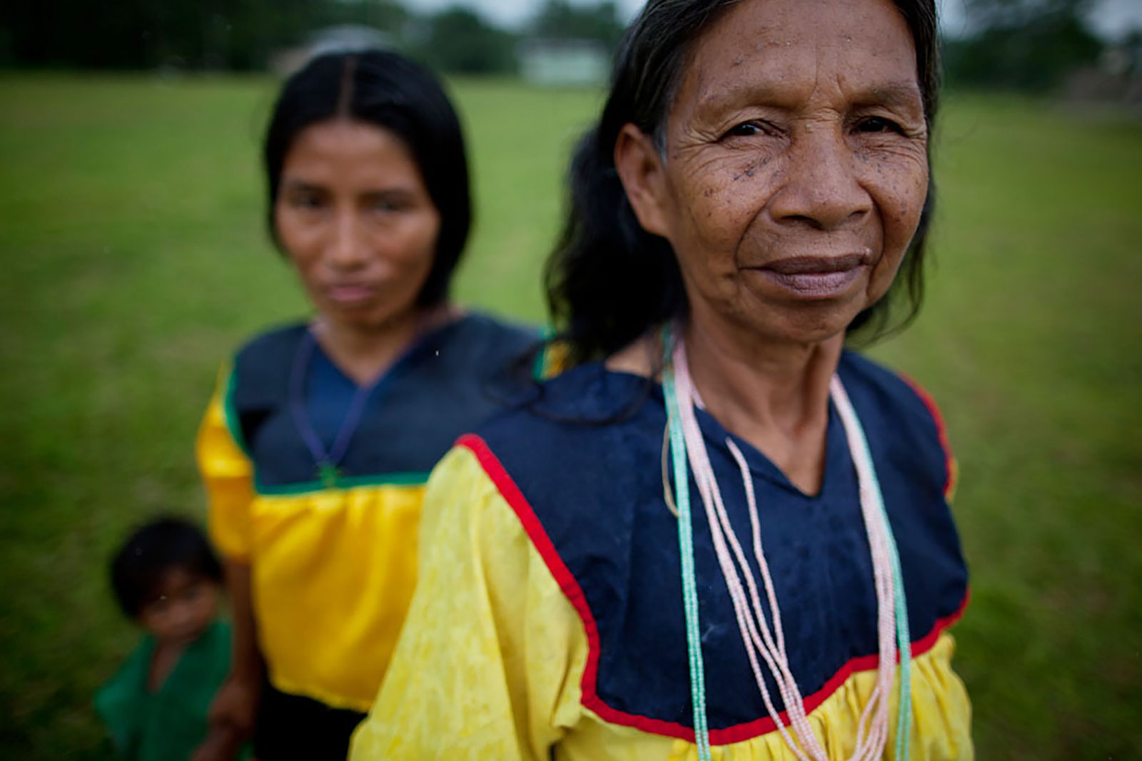 Indigenous Peoples of the Amazon Launch Emergency Campaign Amidst Covid ...