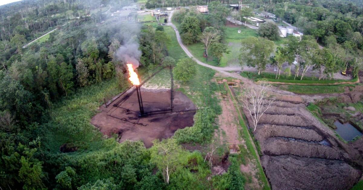 Court Rules Against Ecuador’s Oil Industry in Appeal by Children Living ...