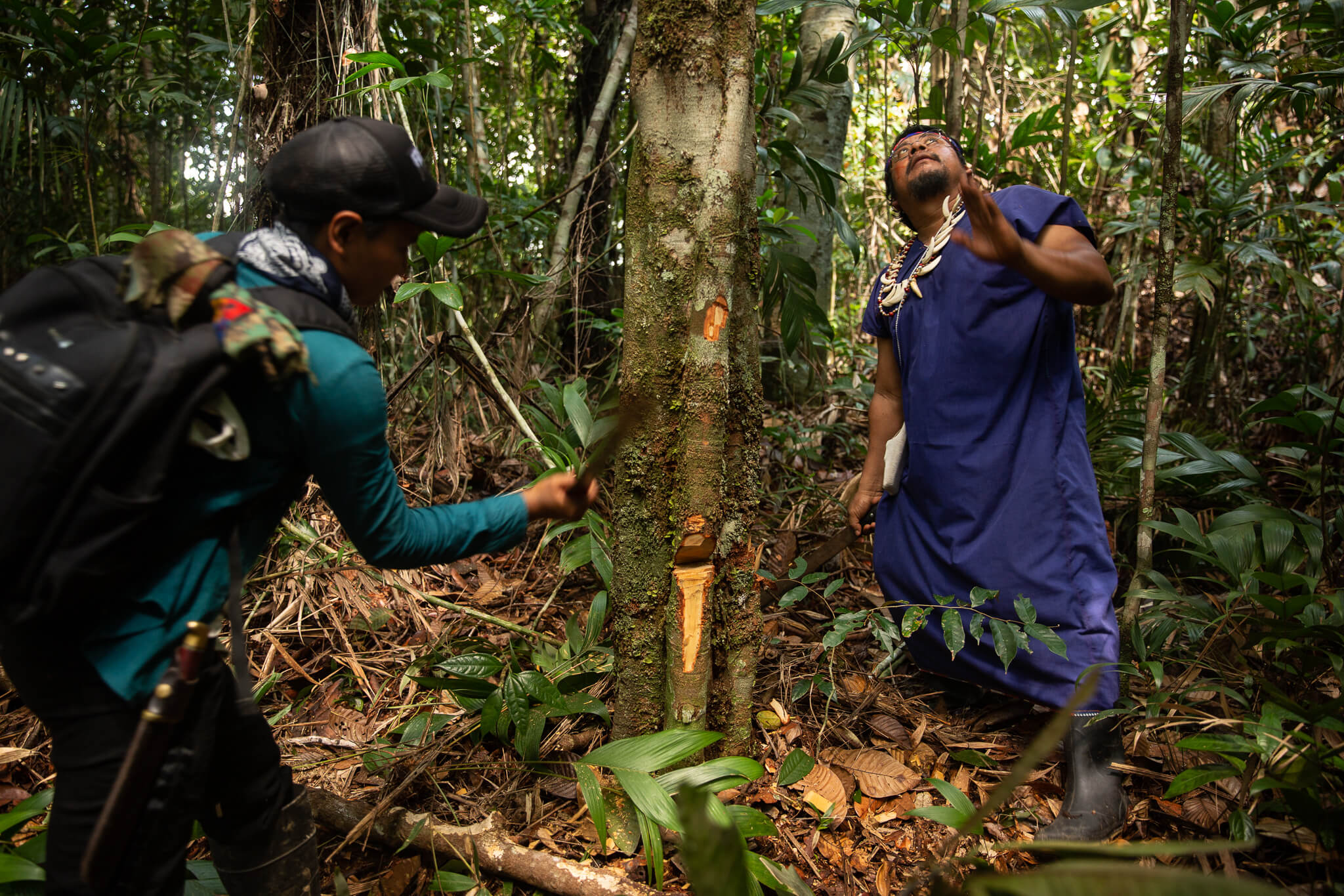 Protecting Indigenous Lands & Cultures In The Amazon In Times of ...