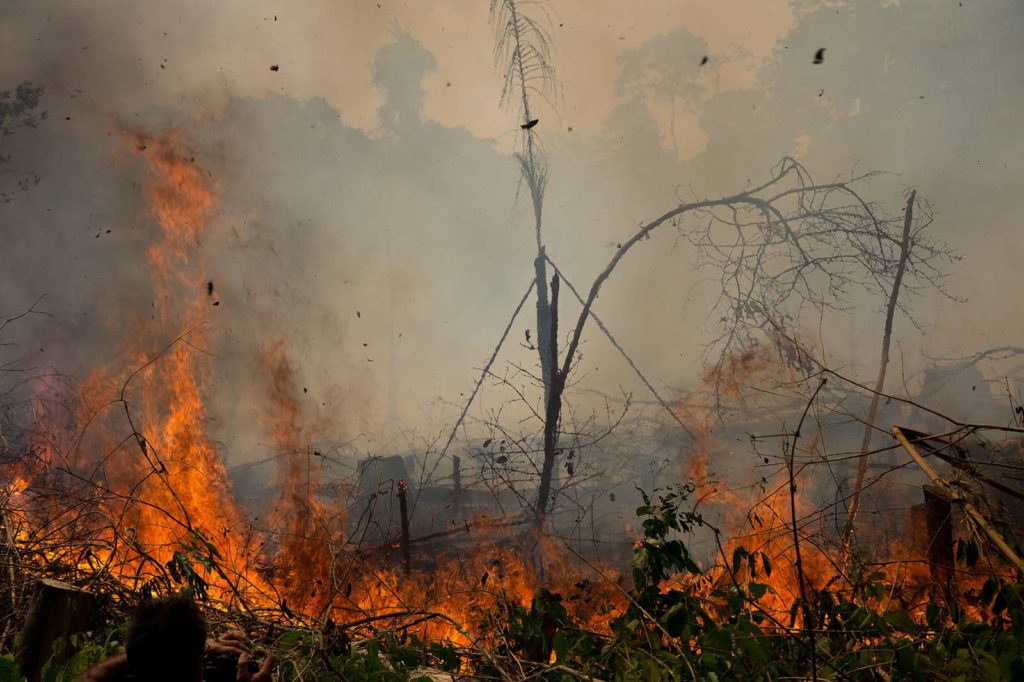Record Fires This Year Edge the Amazon Rainforest and Our Climate ...