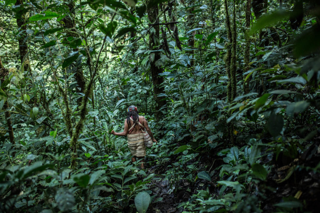 The Waorani Resistance in Photos By Mitch Anderson - Amazon Frontlines