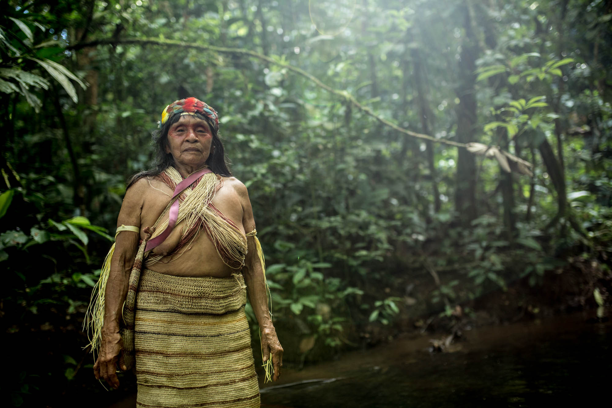 Indigenous Knowledge Keeps Forests Standing - Amazon Frontlines