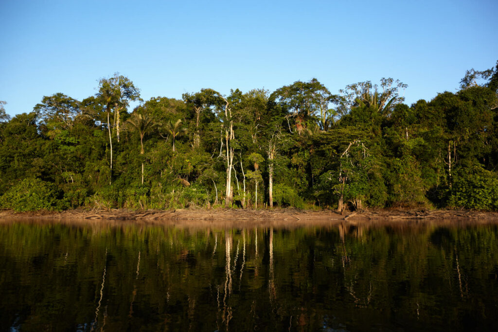 One Amazonian Nation’s Battle to Return Home - Amazon Frontlines