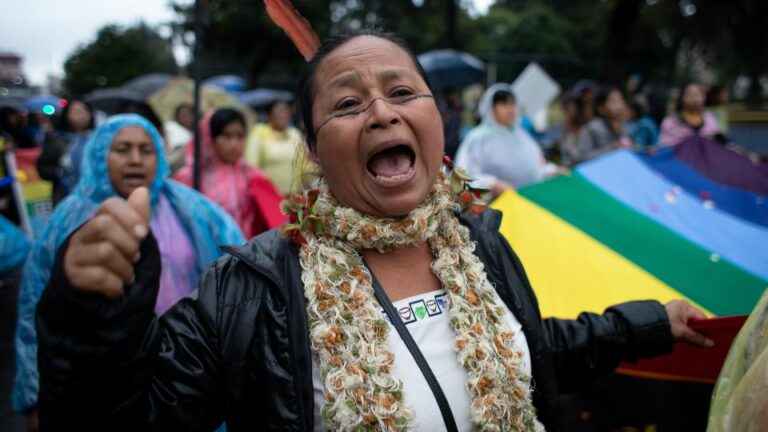 Mujeres indígenas de la Amazonía ponen su cuerpo para defender su ...