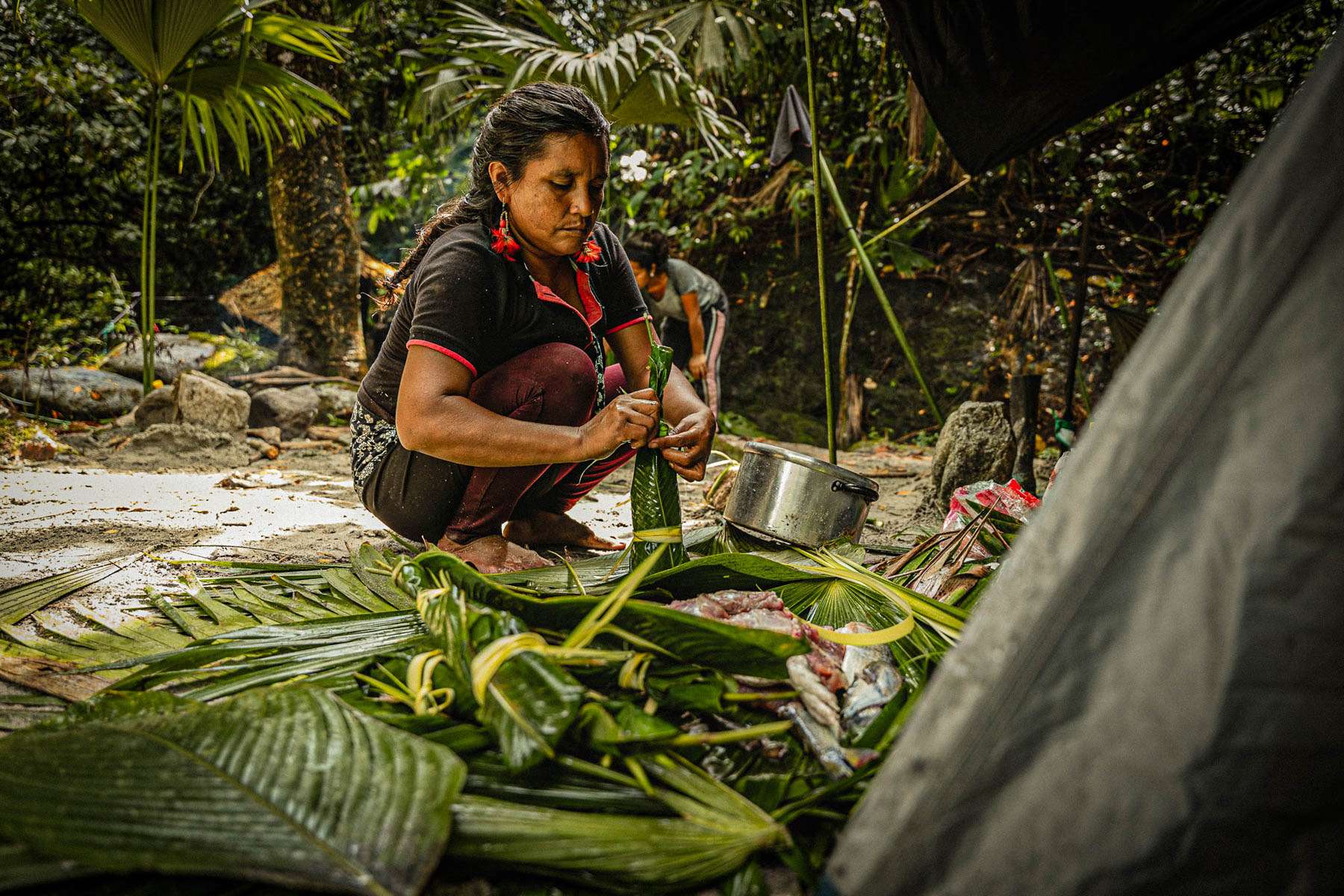 A Tapestry of Biodiversity: Guarding the Relations of the Amazon ...