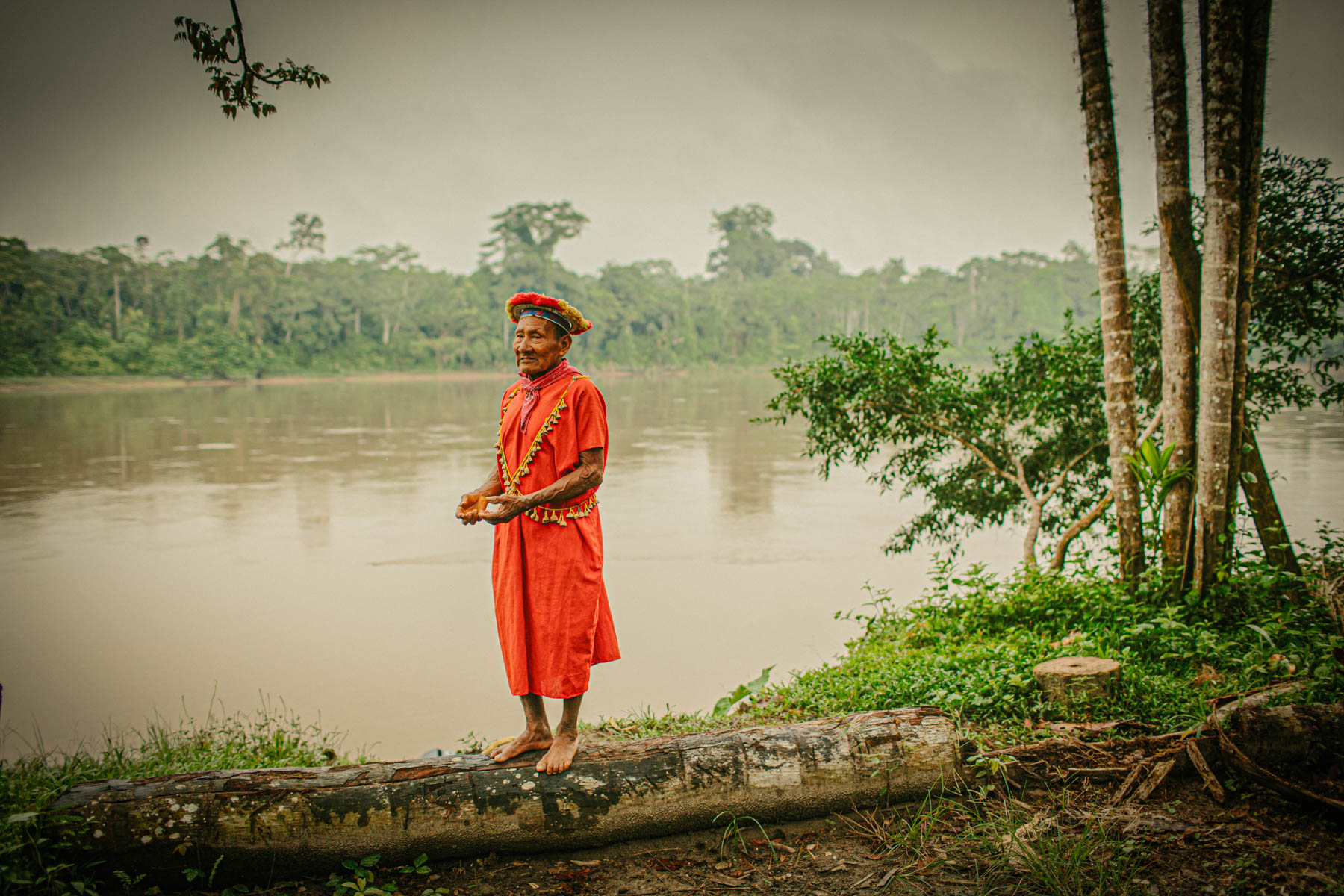 A Tapestry of Biodiversity: Guarding the Relations of the Amazon ...