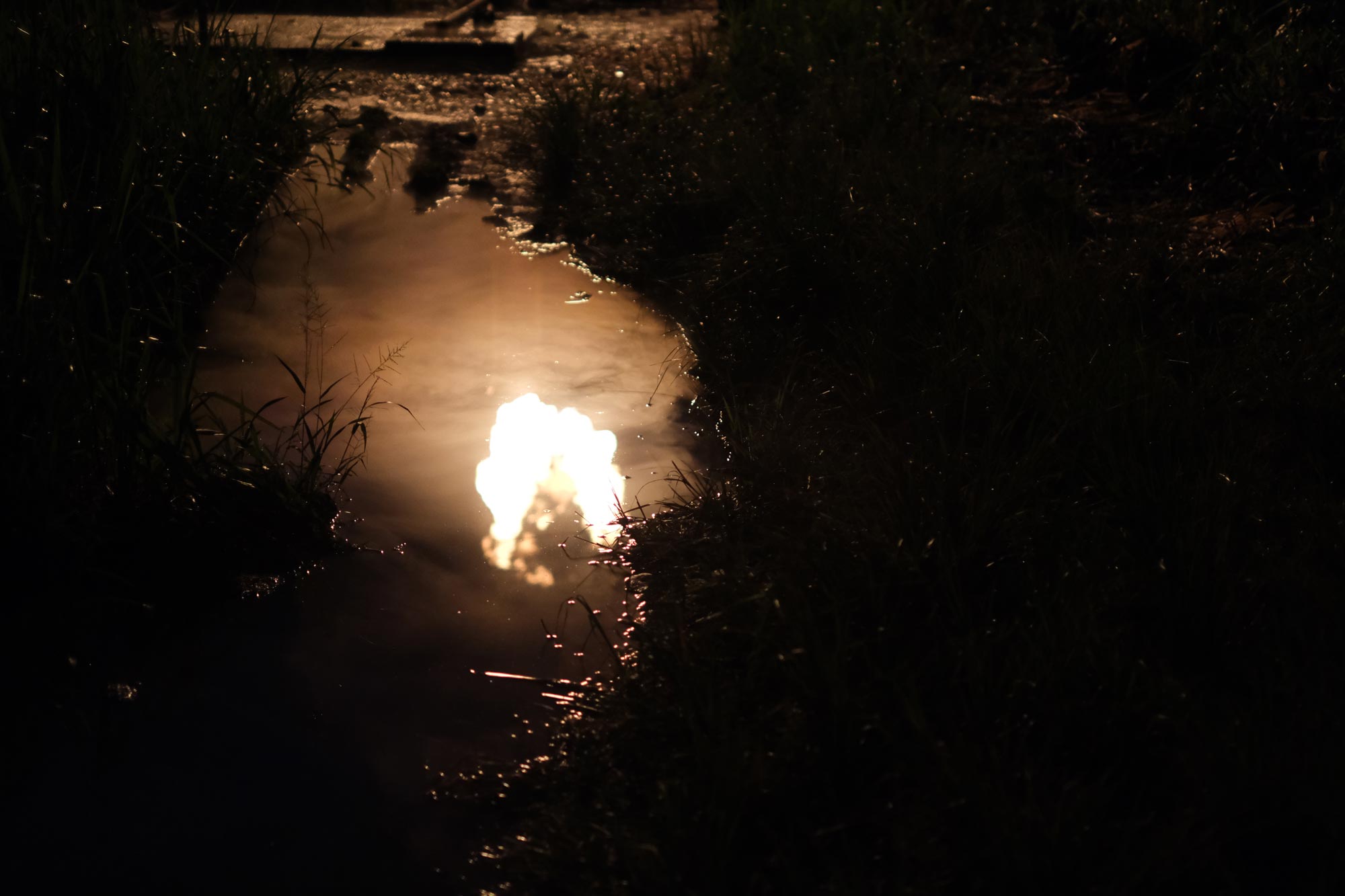 The Tipping Point: Is the Amazon Rainforest Approaching a Point of No ...