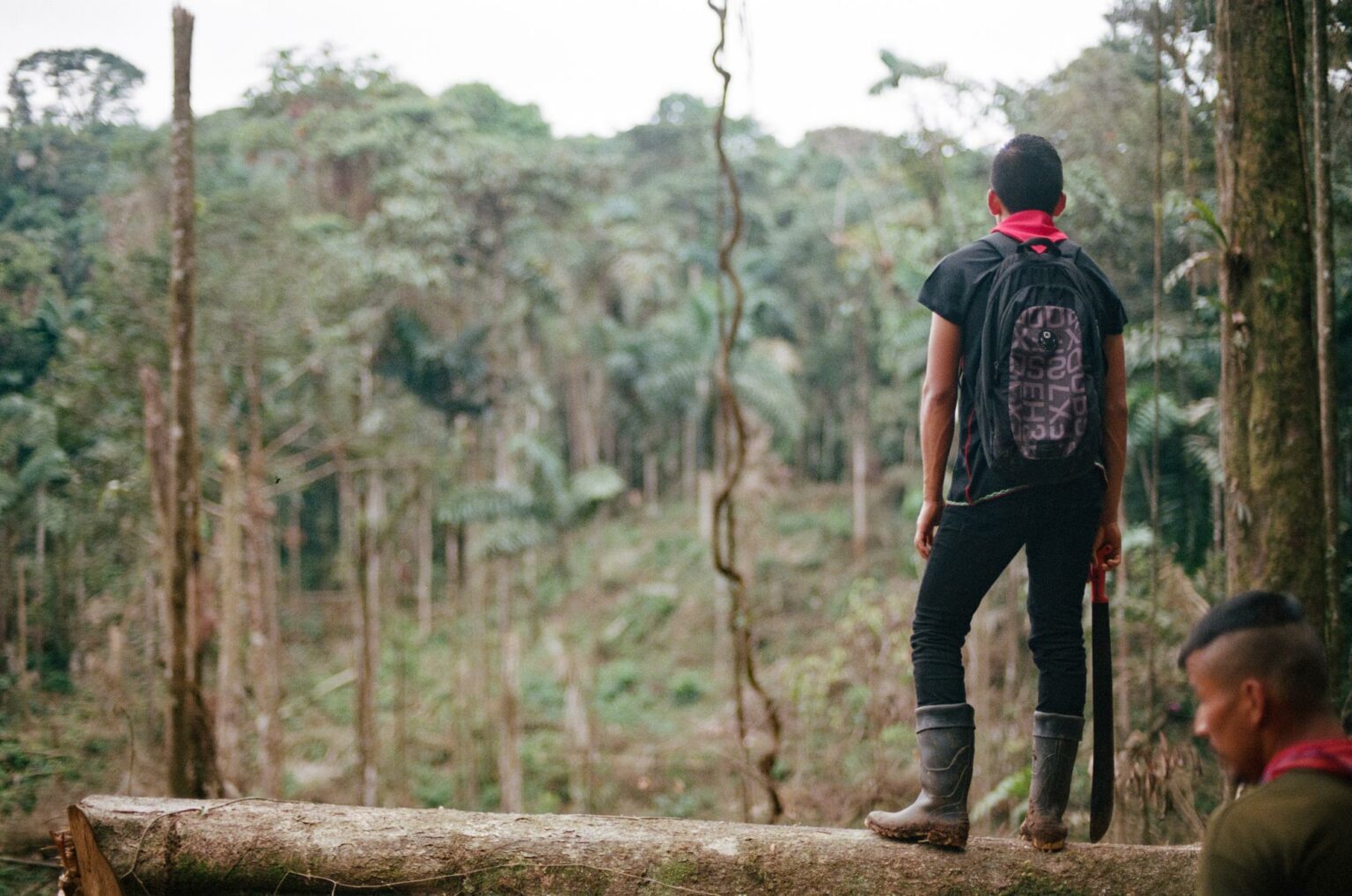 The Tipping Point: Is the Amazon Rainforest Approaching a Point of No ...