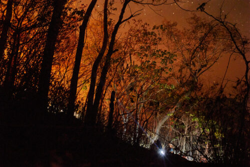 Amazon Fires Devastate Indigenous Territories and Protected Areas: A ...