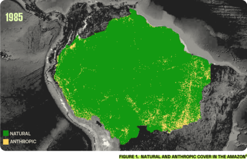 The Tipping Point: Is the Amazon Rainforest Approaching a Point of No ...
