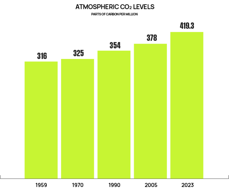 The Tipping Point: Is the Amazon Rainforest Approaching a Point of No ...