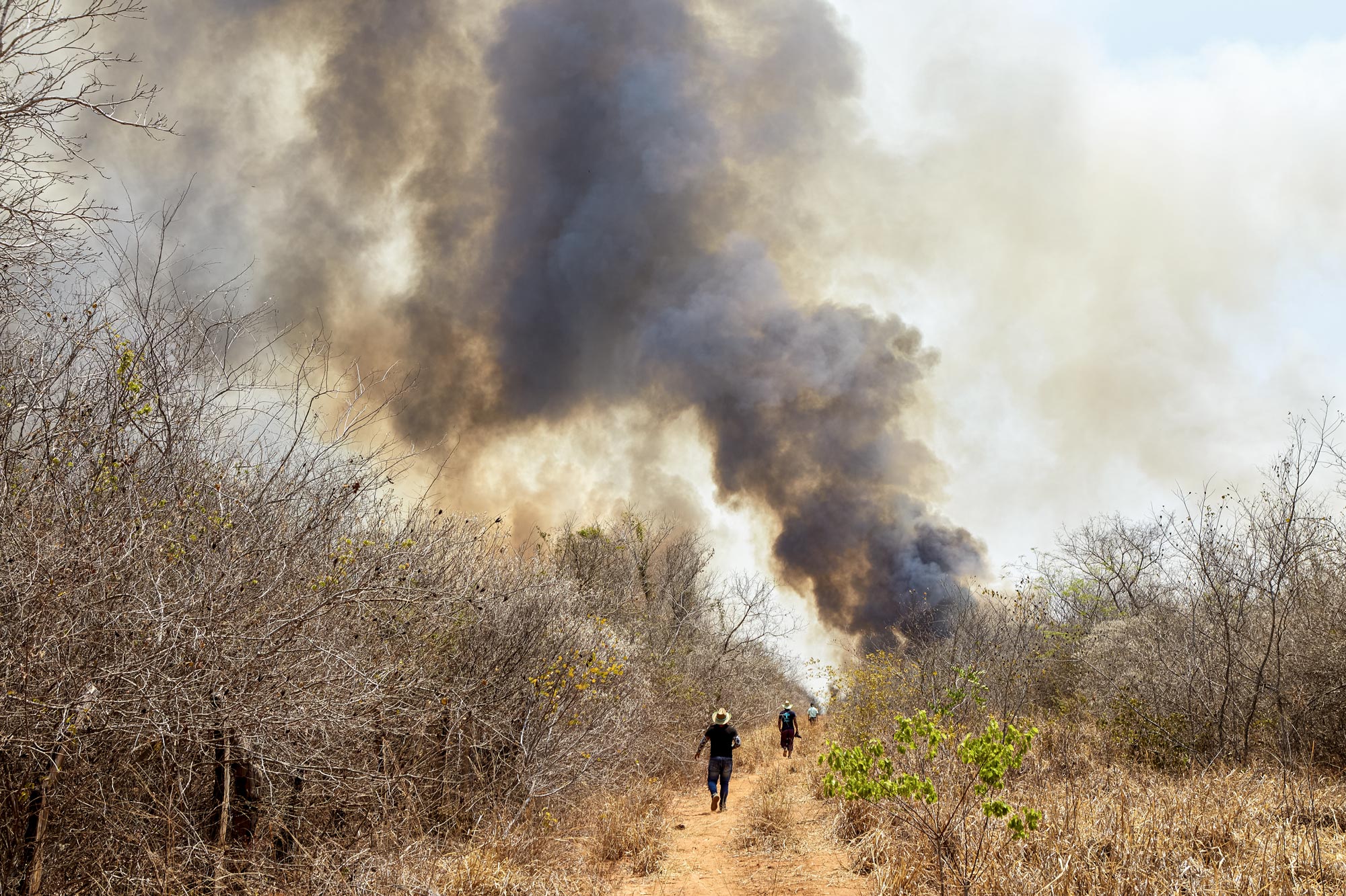 Amazon Fires Reach Two-Decade High: Frontlines Report - Amazon Frontlines